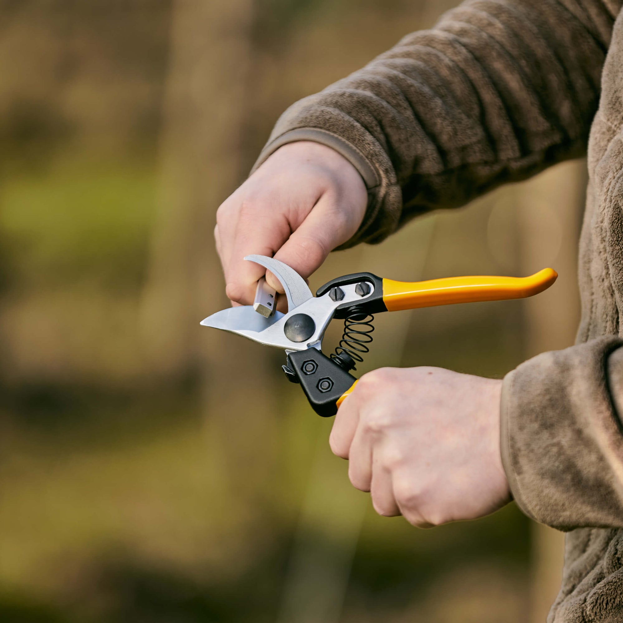 Manual and electric pruning shears, saws, hedge shears, loppers – Alpen ...