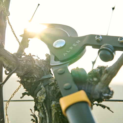 The Secrets of Successful Mountain Gardening: Practical Tips for Alpin ...